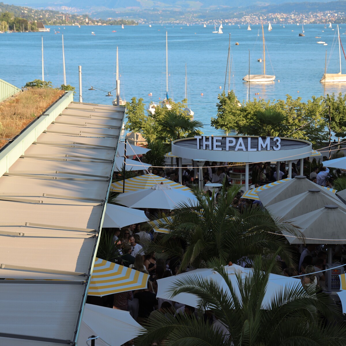 The Palm 3 - Ferienfeeling auf unserer Terrasse - Kongresshaus Zürich